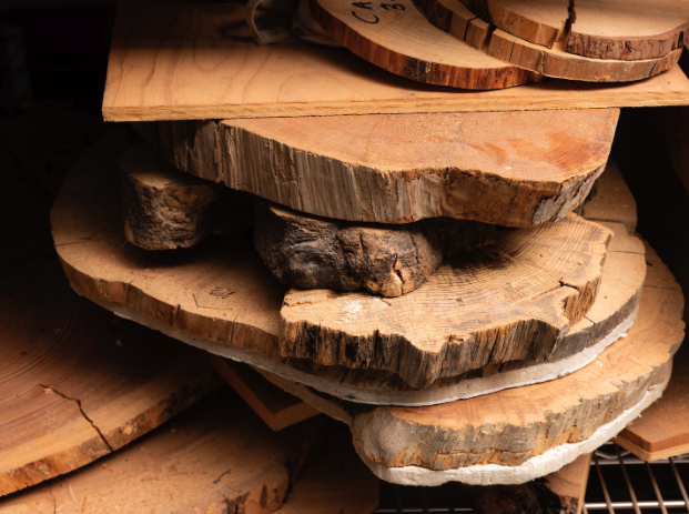 Washington Post: What an Arizona tree reveals about the hottest year on ...