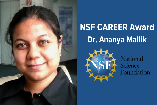 Ananya Mallik awarded NSF CAREER Award for groundbreaking research on nitrogen dynamics in Earth ...